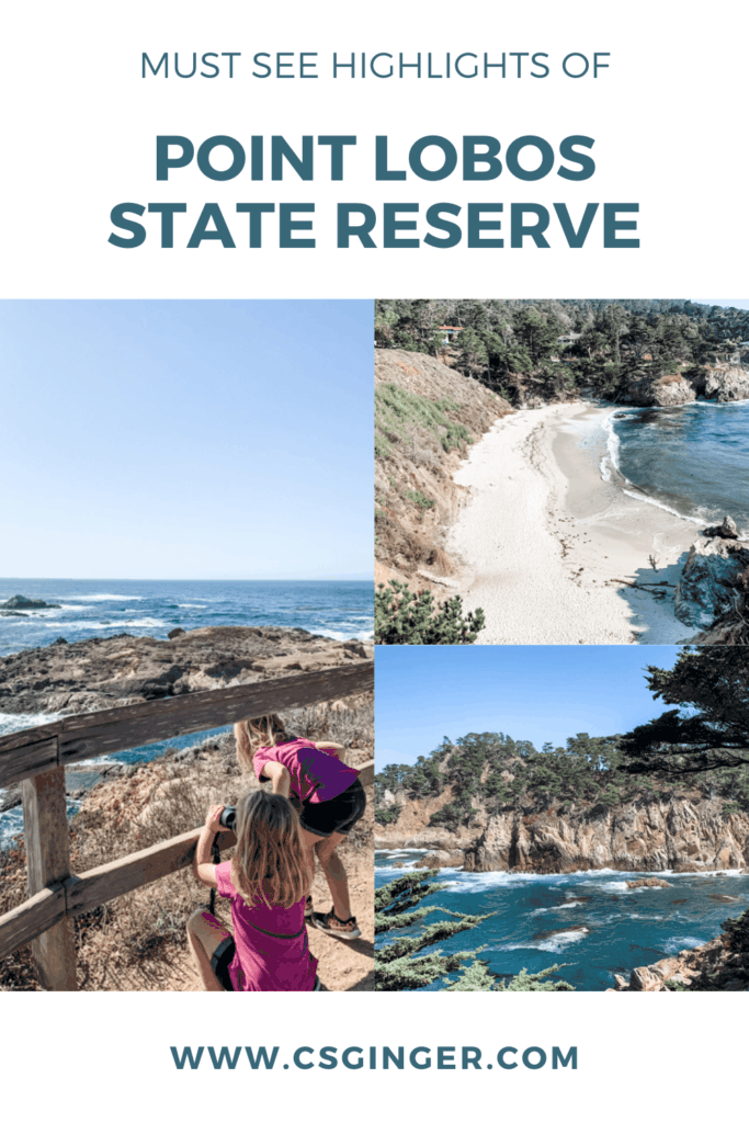 9 of the Best Point Lobos Hikes with the Amazing Coastal Views - CS ...