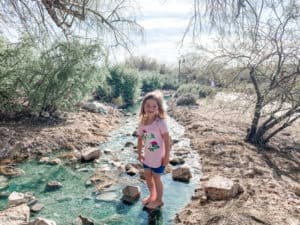 29 Best Outdoor Activities in Phoenix in 2022 - CS Ginger Travel