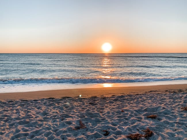 31 Amazing Things to Do in Siesta Key, Florida - CS Ginger Travel