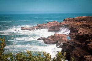 A Complete Guide to the Best Oregon Coast Day Trip from Portland ...